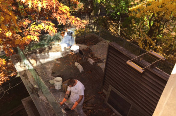 Work on the North Terrace – Alan I W Frank House